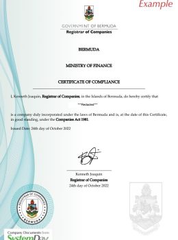 Bermuda Company Documents