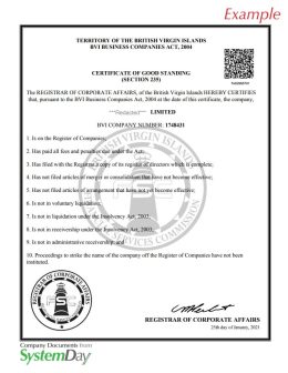 BVI Company Documents