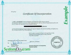 Cayman Islands Company Documents