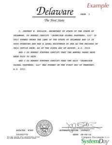 Delaware Company Documents