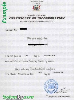 Mauritius Company Documents